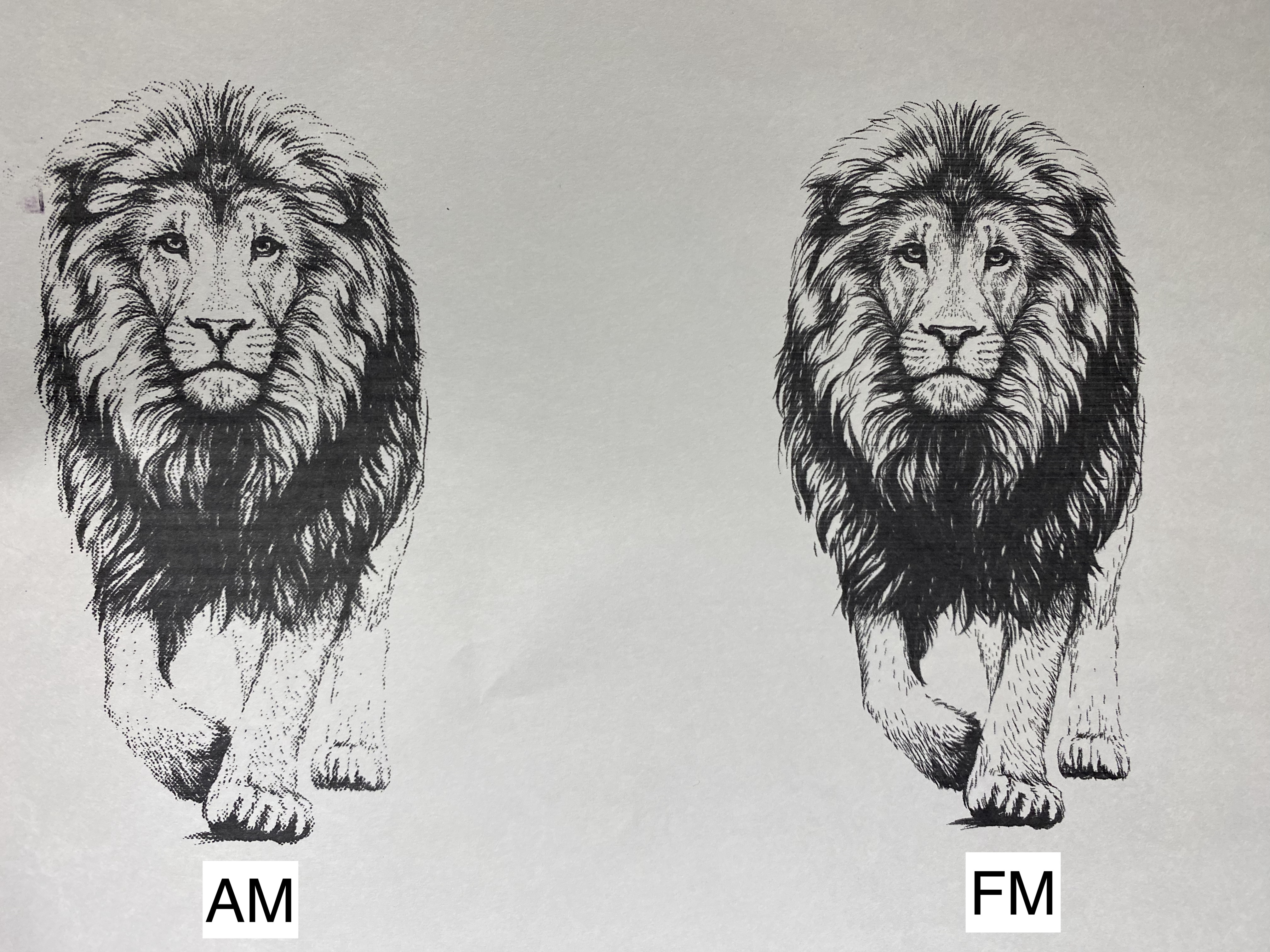 3-6 La trama FM y la trama AM – Ayuda de FLUX